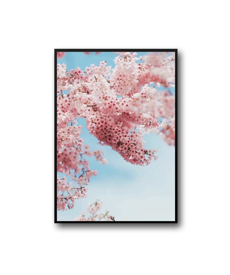 Spring – We Capture SA